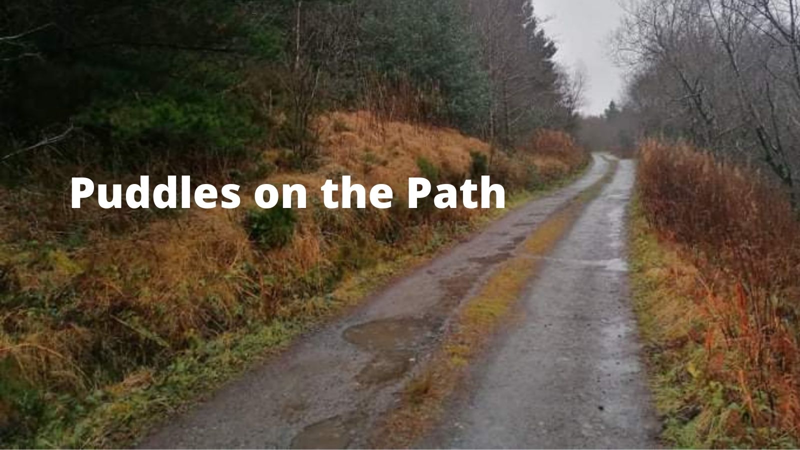 Puddles on the Path - Lough Derg - LIVE