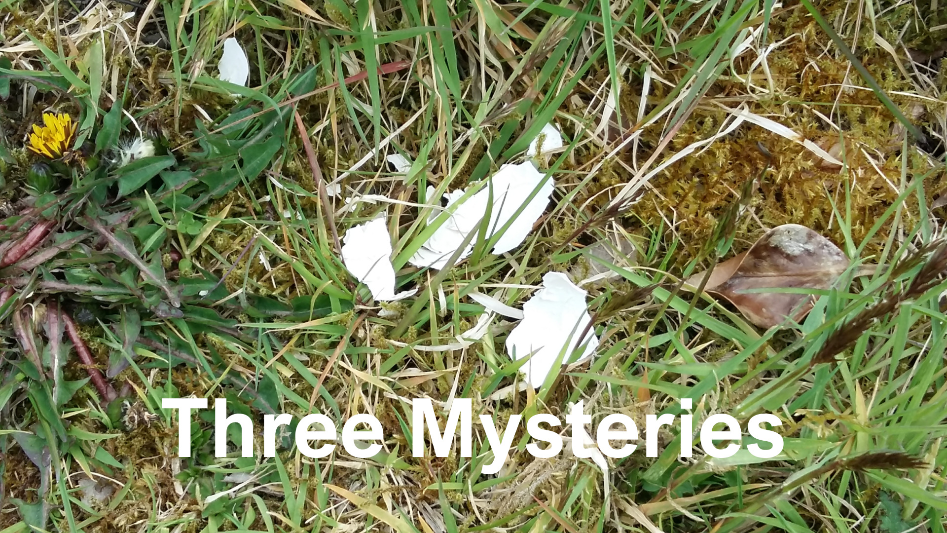 Three Mysteries - Lough Derg - LIVE